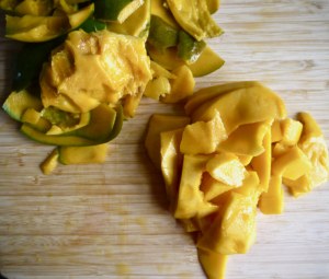 tengo de mango, tengo de parcha… – Hungry and Frozen