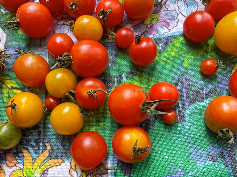 tomatoes and fried mint (vegan) – Hungry and Frozen
