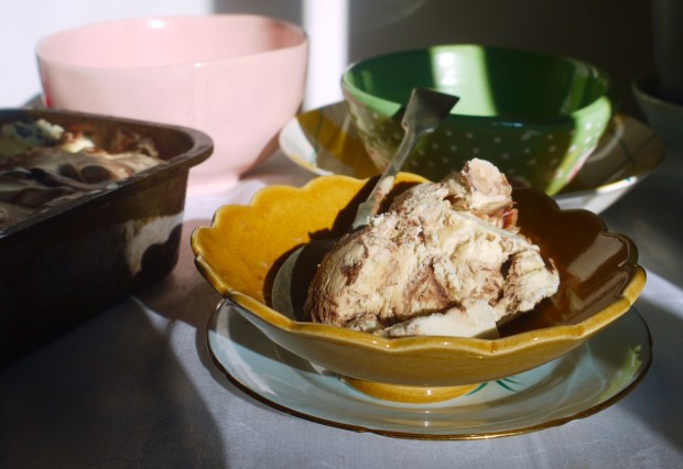 chocolate fudge ripple ice cream – Hungry and Frozen