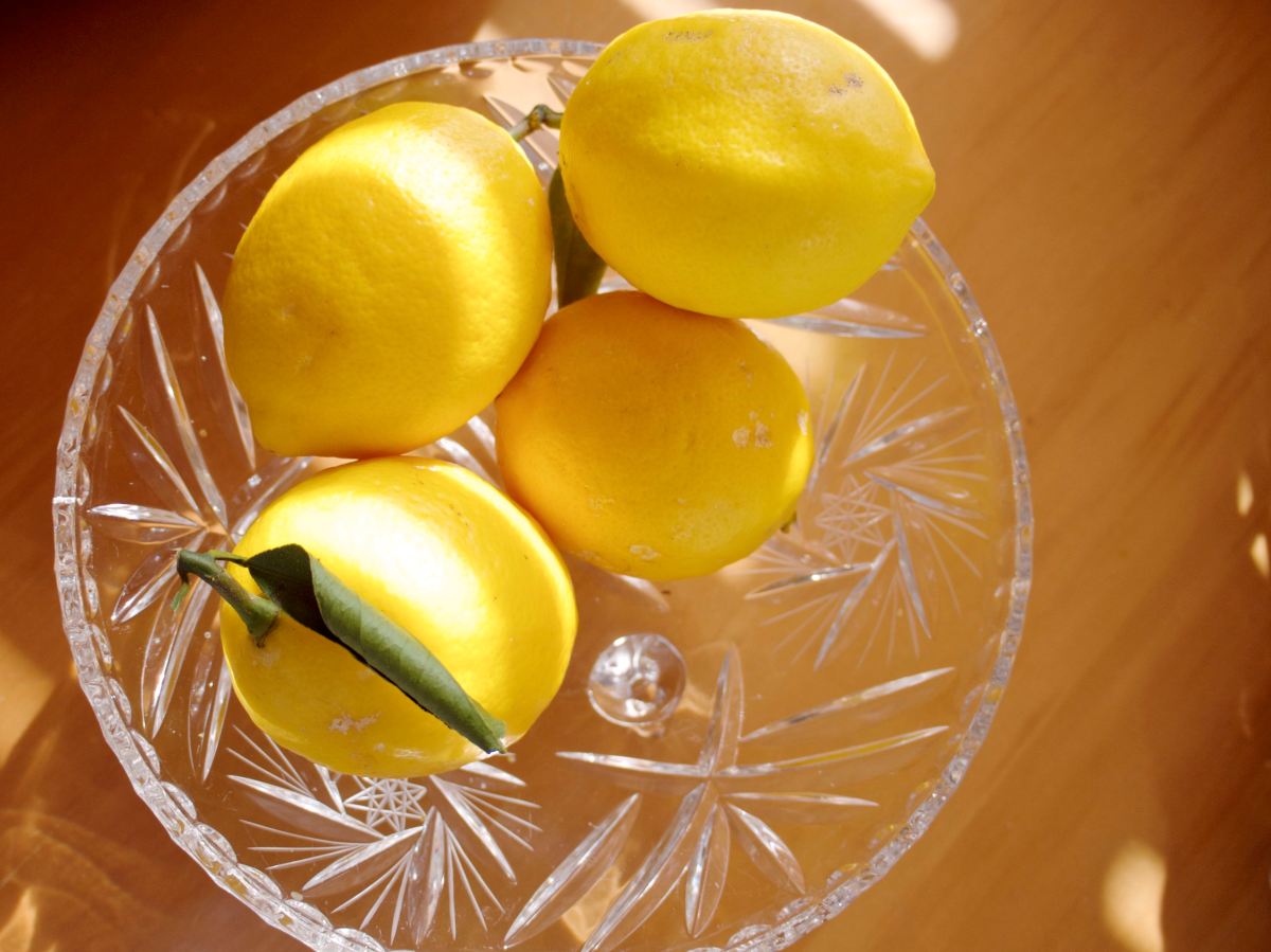 Hungry and Frozen – possibly the best food blog in the world, since 2007