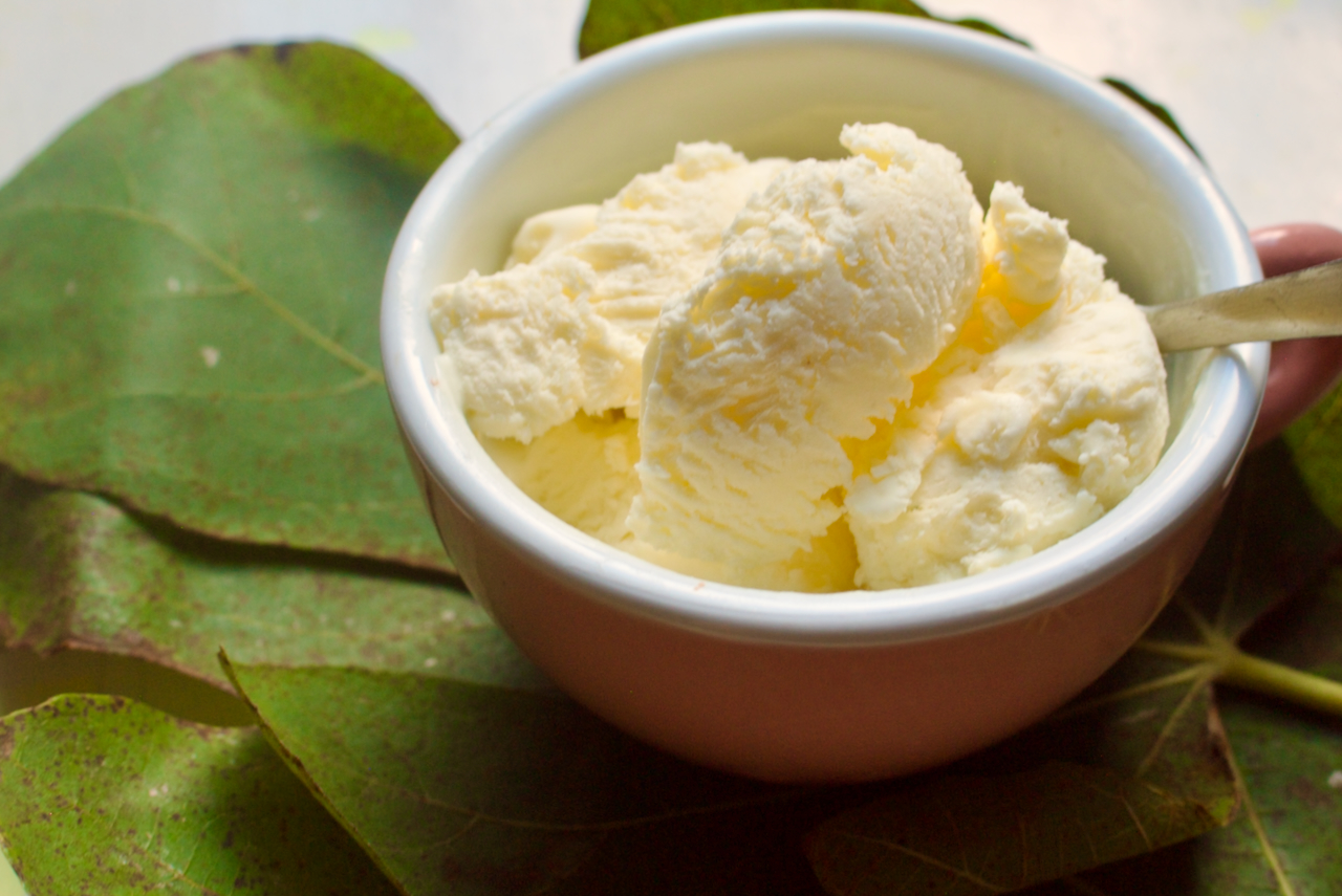 fig leaf ice cream [no-churn] – Hungry and Frozen