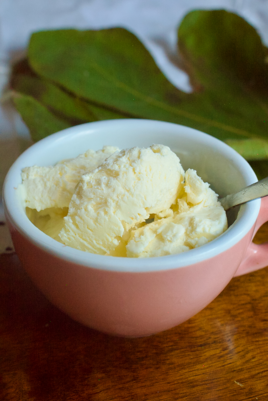 fig leaf ice cream [no-churn] – Hungry and Frozen
