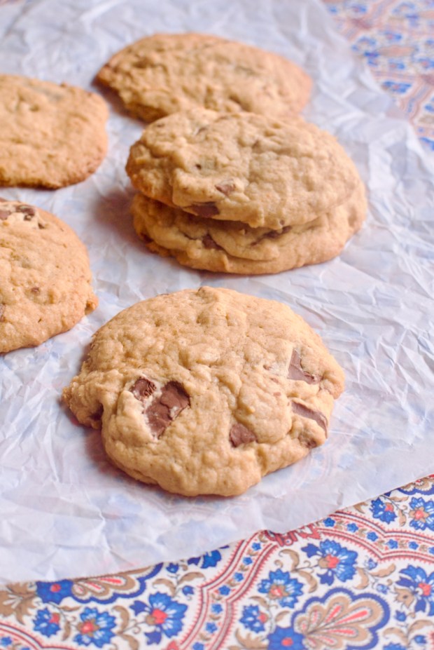 The last chocolate chip cookies – Hungry and Frozen